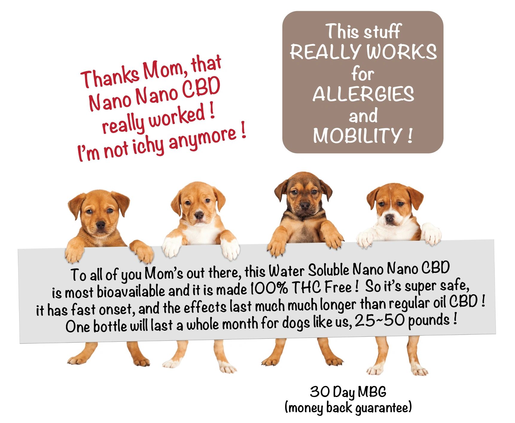 Dog Facts and Nano Tech