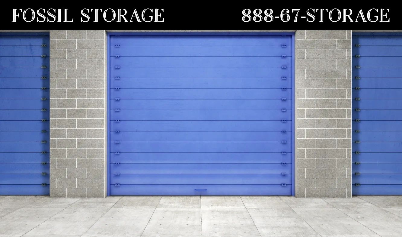 FOSSIL STORAGE
