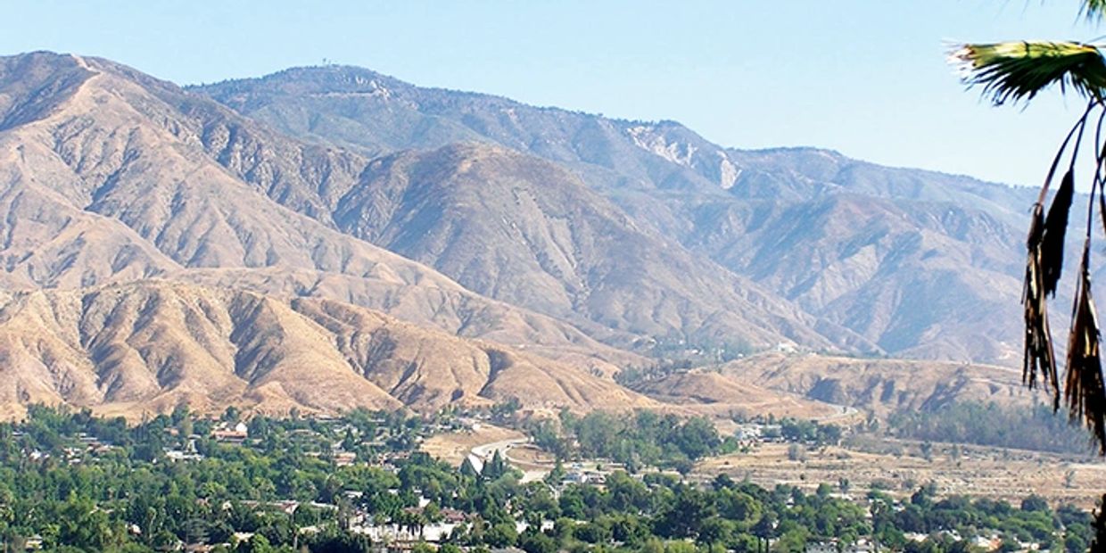 DAVID SNOW, REALTOR®