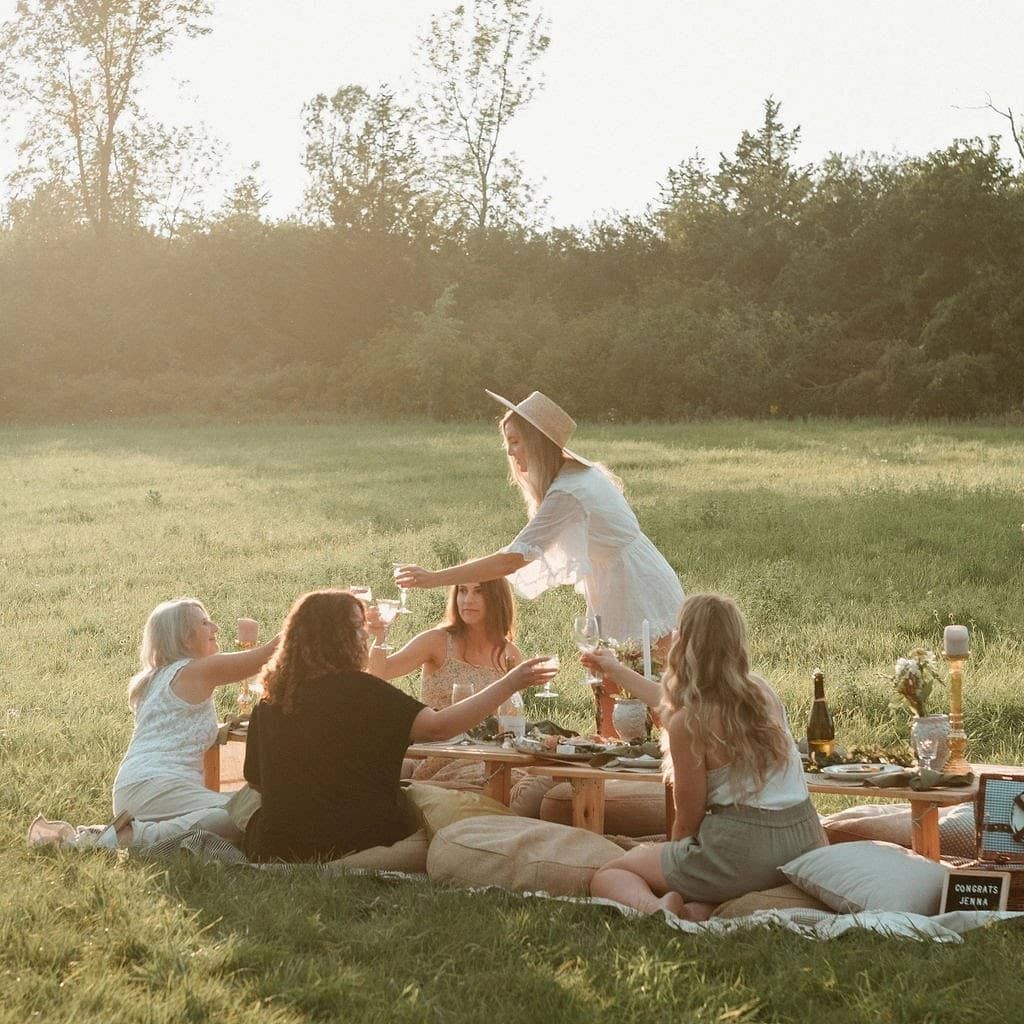 VIPicnic Experience