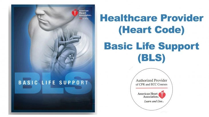 BLS Healthcare Provider