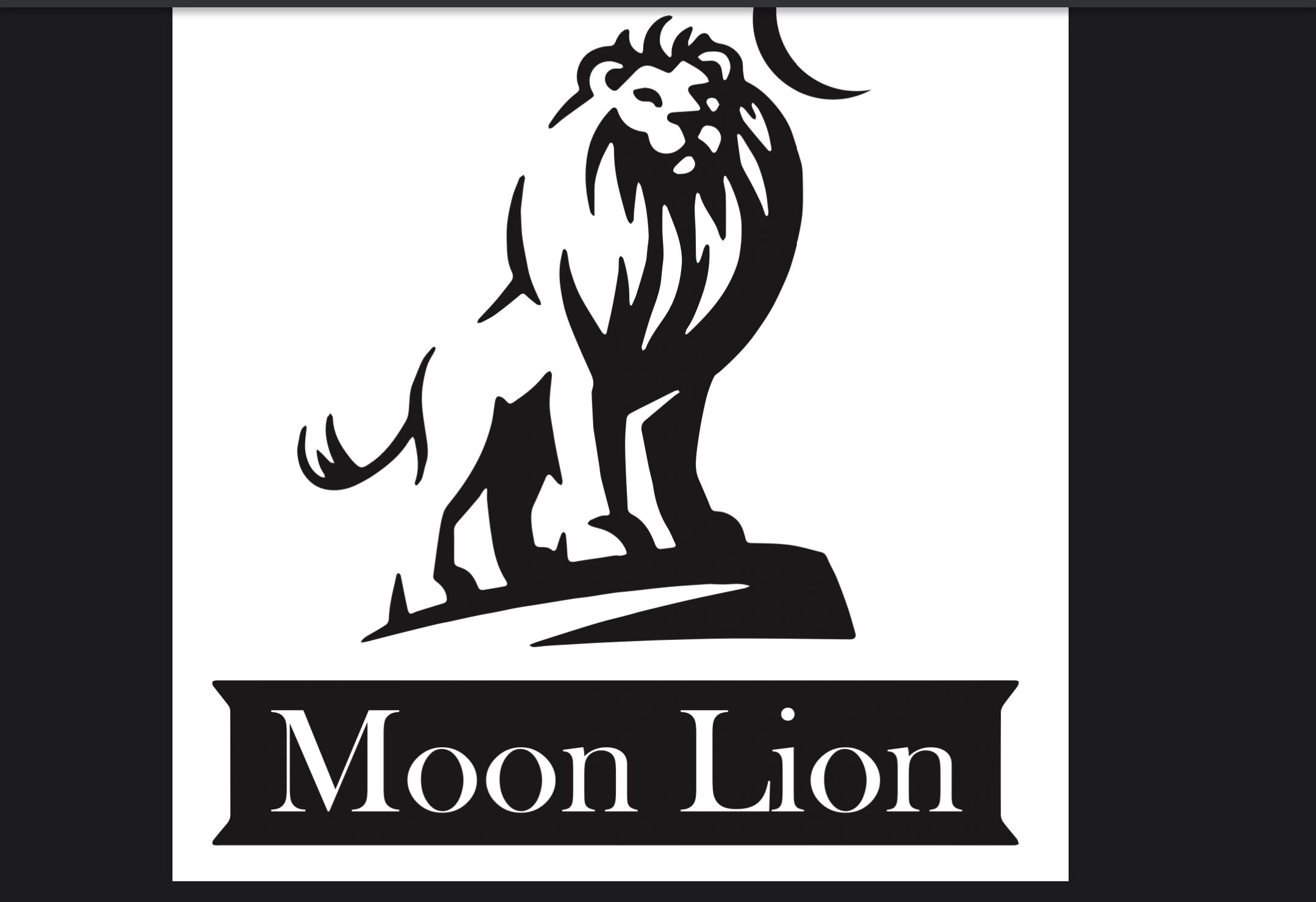 MoonLIon Movers llc