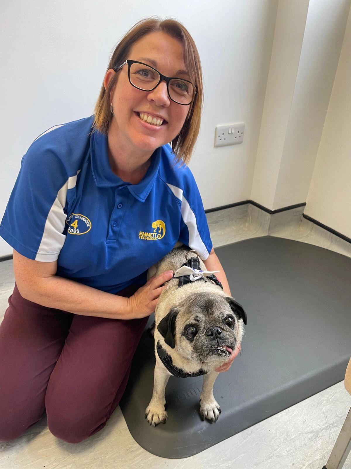 Nurse Paws - Pet Therapy, Veterinary Nurse