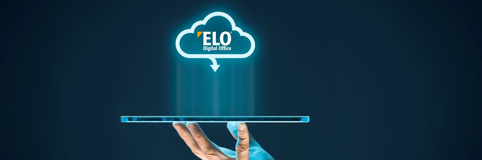 ELO Digital Office AU/NZ