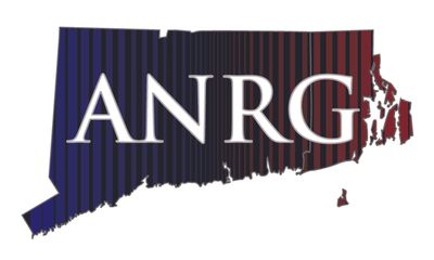 American National Recovery Group Inc.