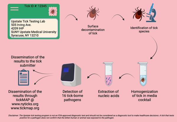 Upstate Tick Testing Laboratory
