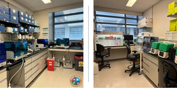 Upstate Tick Testing Laboratory