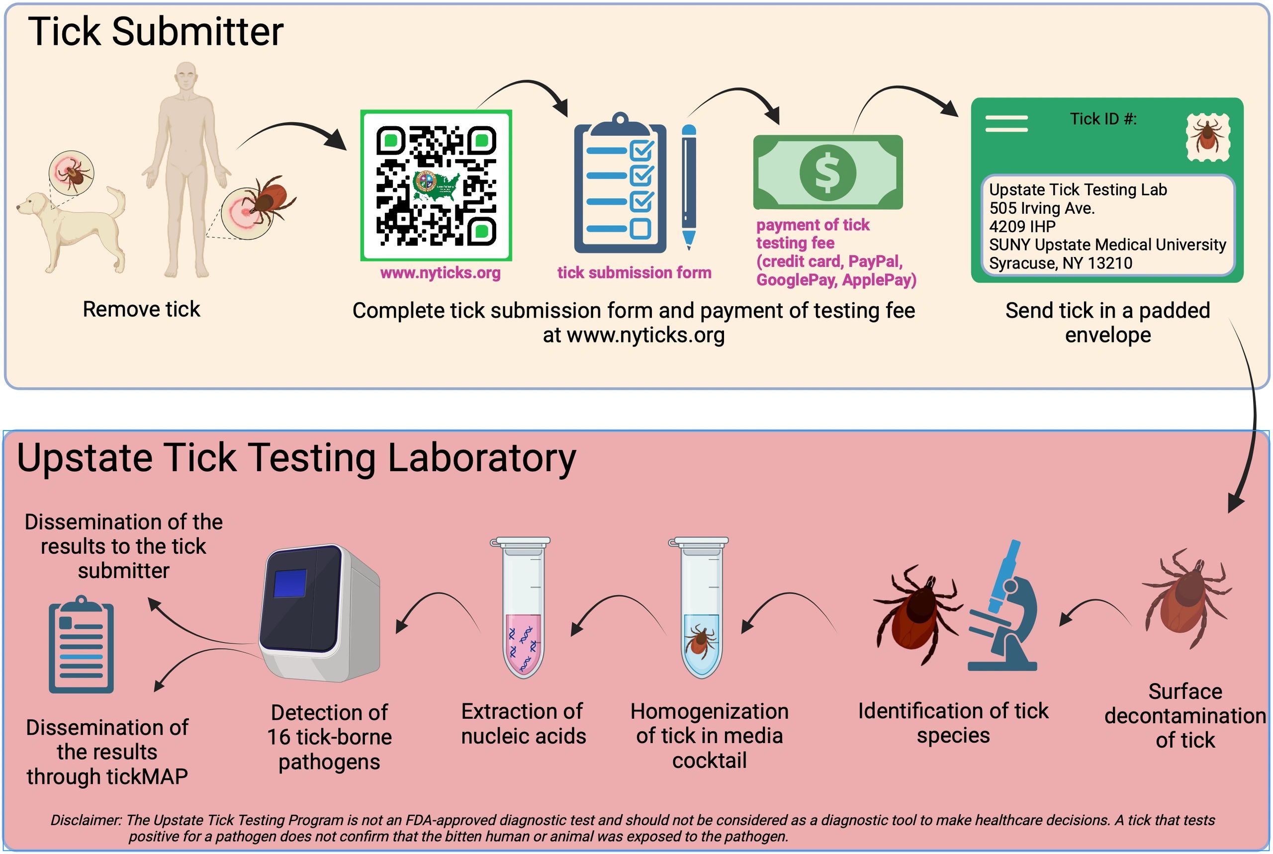 Upstate Tick Testing Laboratory