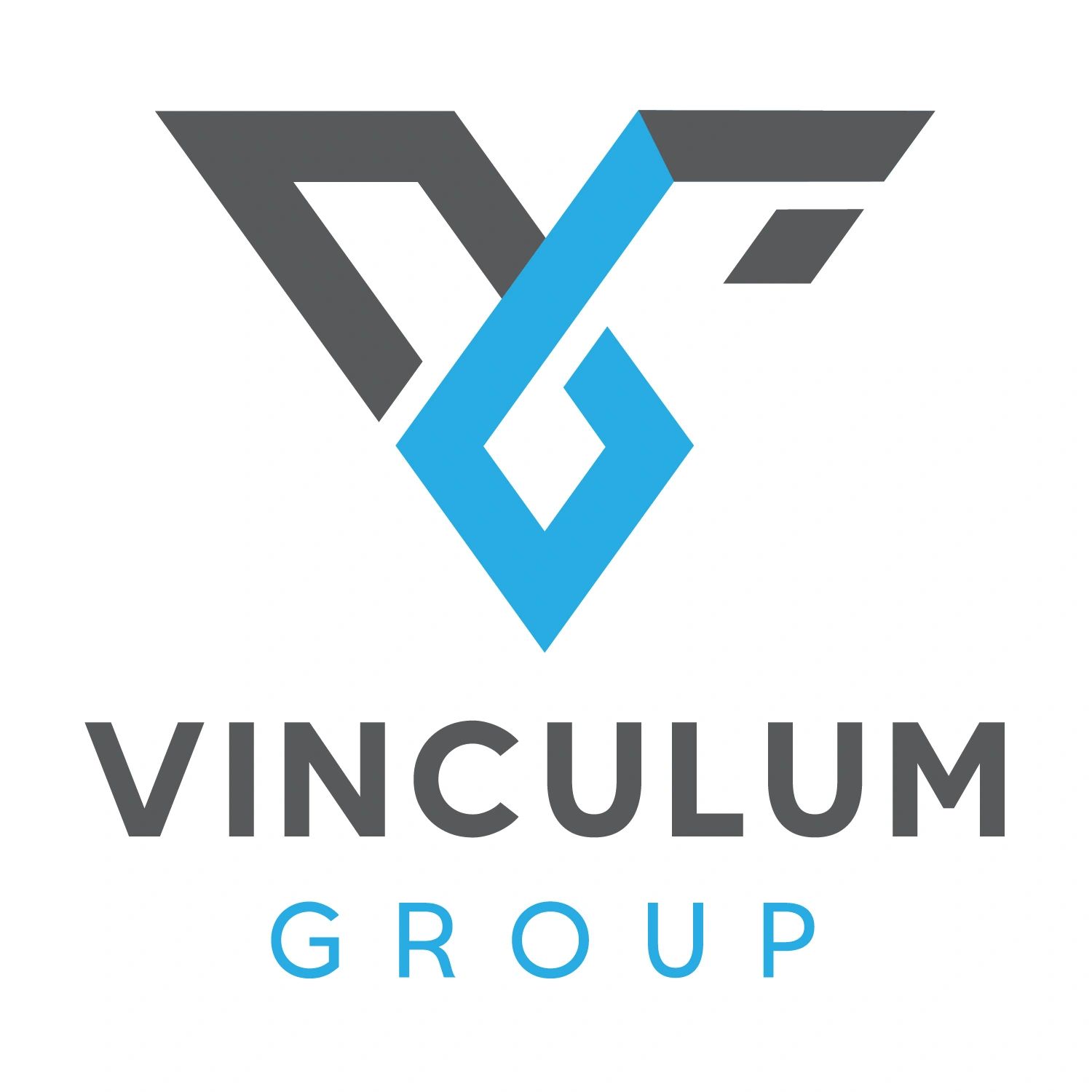 TheVinculumGroup