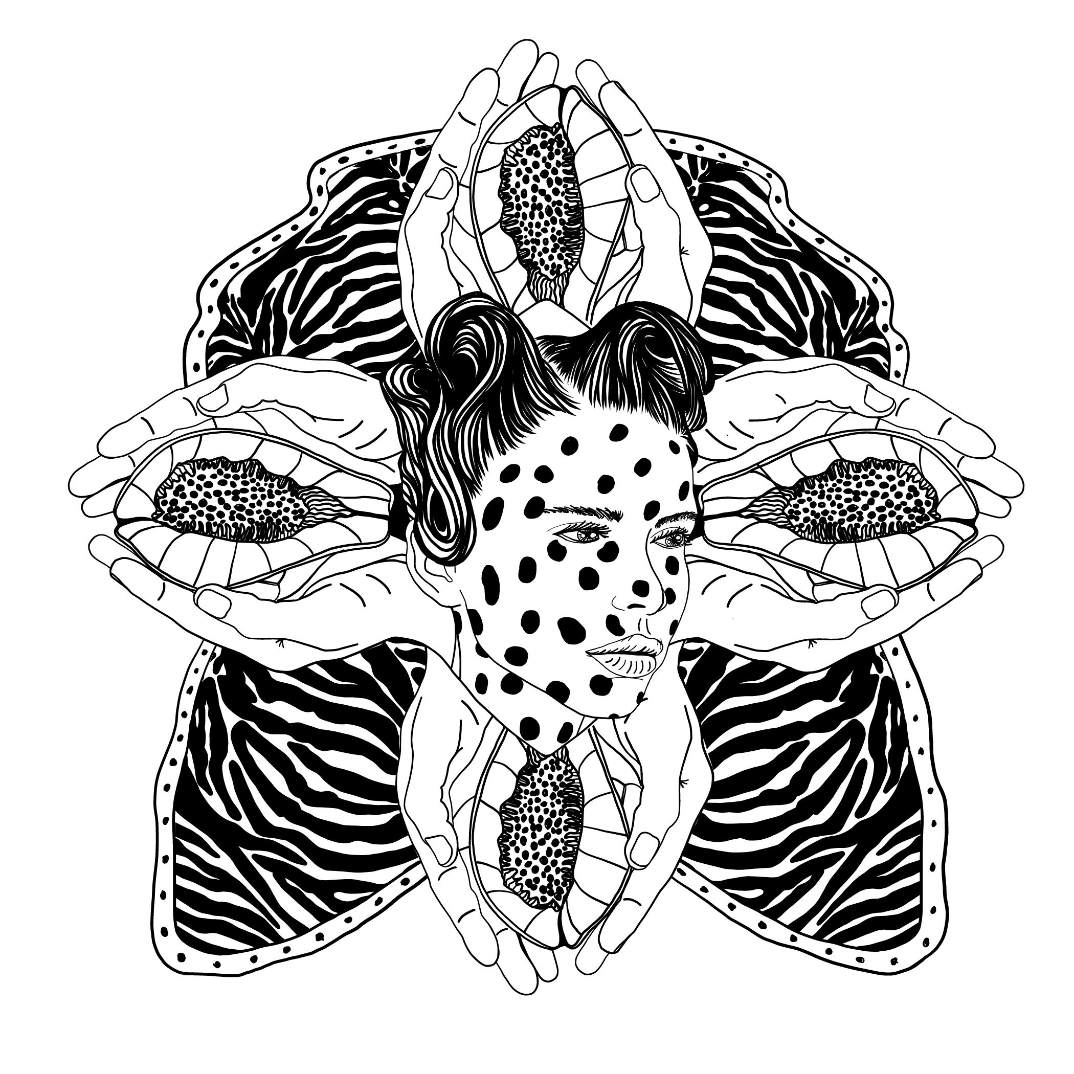 The Fuffologist - Home