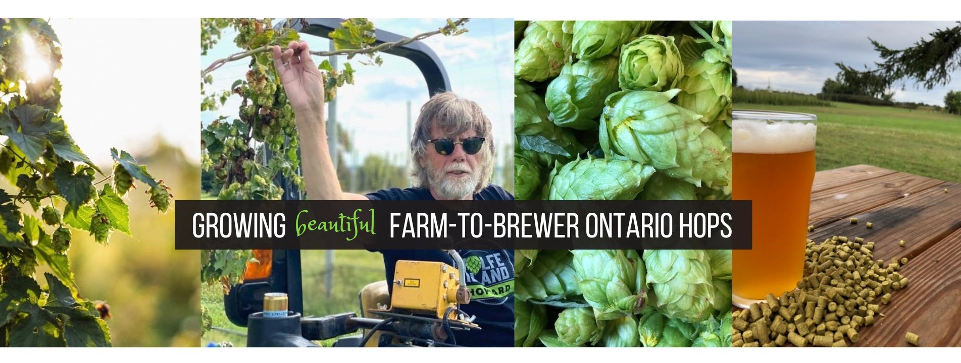 Wolfe Island Hopyard Ltd.