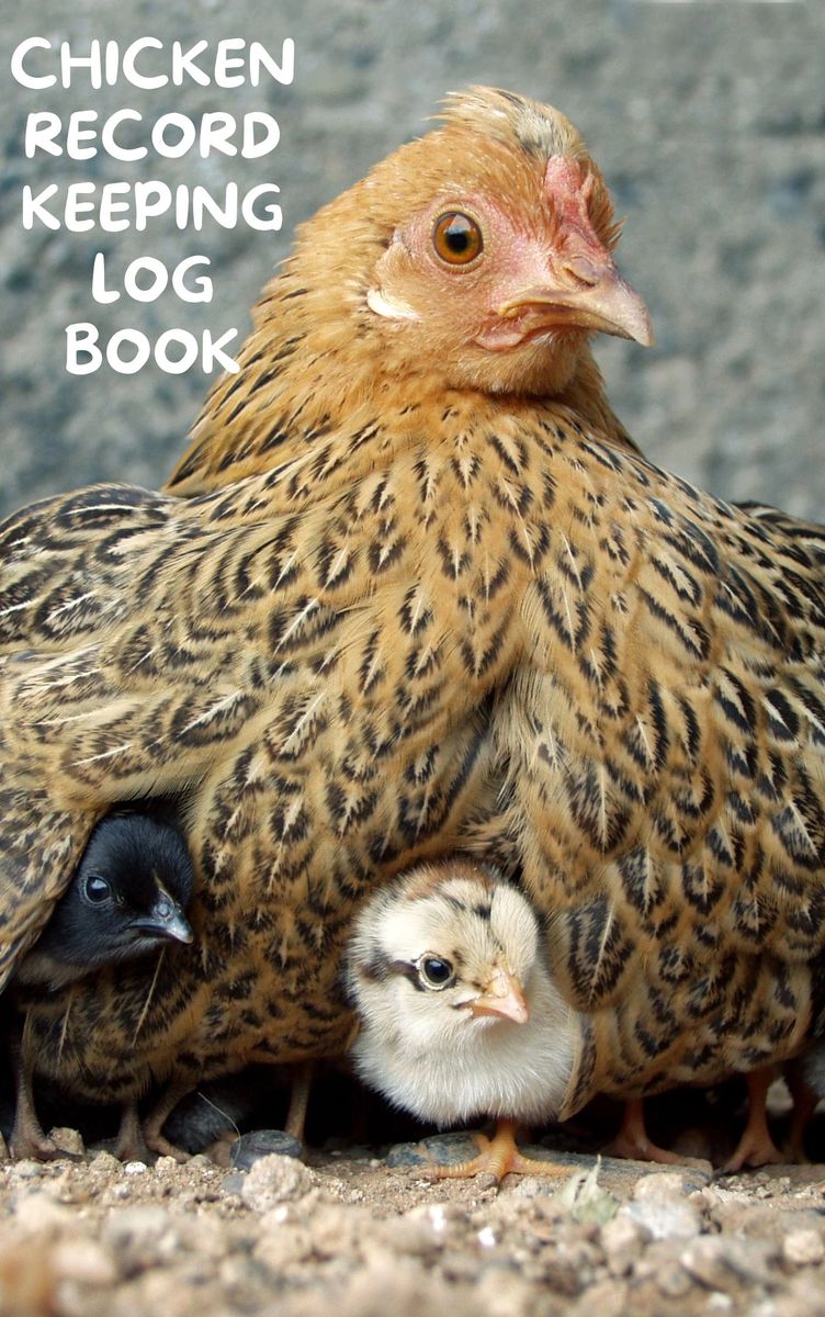 Chicken Keeping Log Book