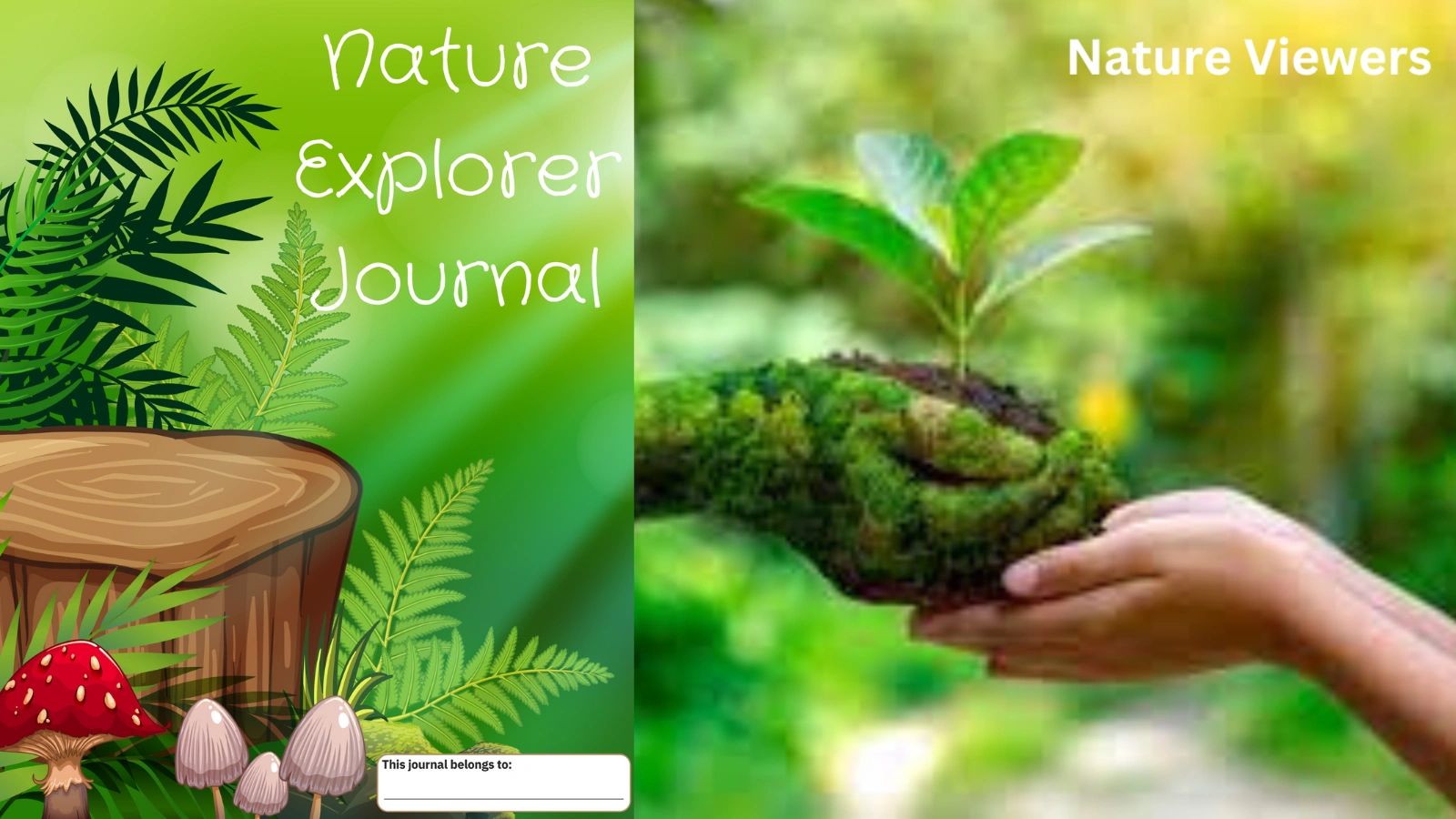 Nature Journal and Nature Viewers Homeschool Units Released