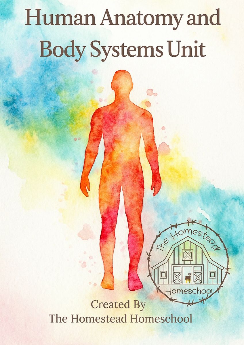 Human Anatomy and Body Systems Homeschool Unit - FREE For Network Members!