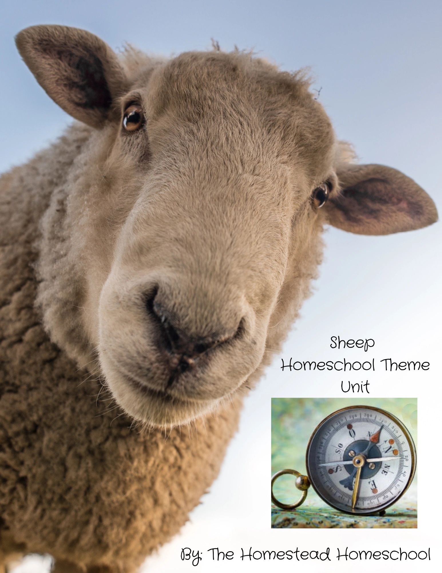 Sheep Homeschool Unit Released!