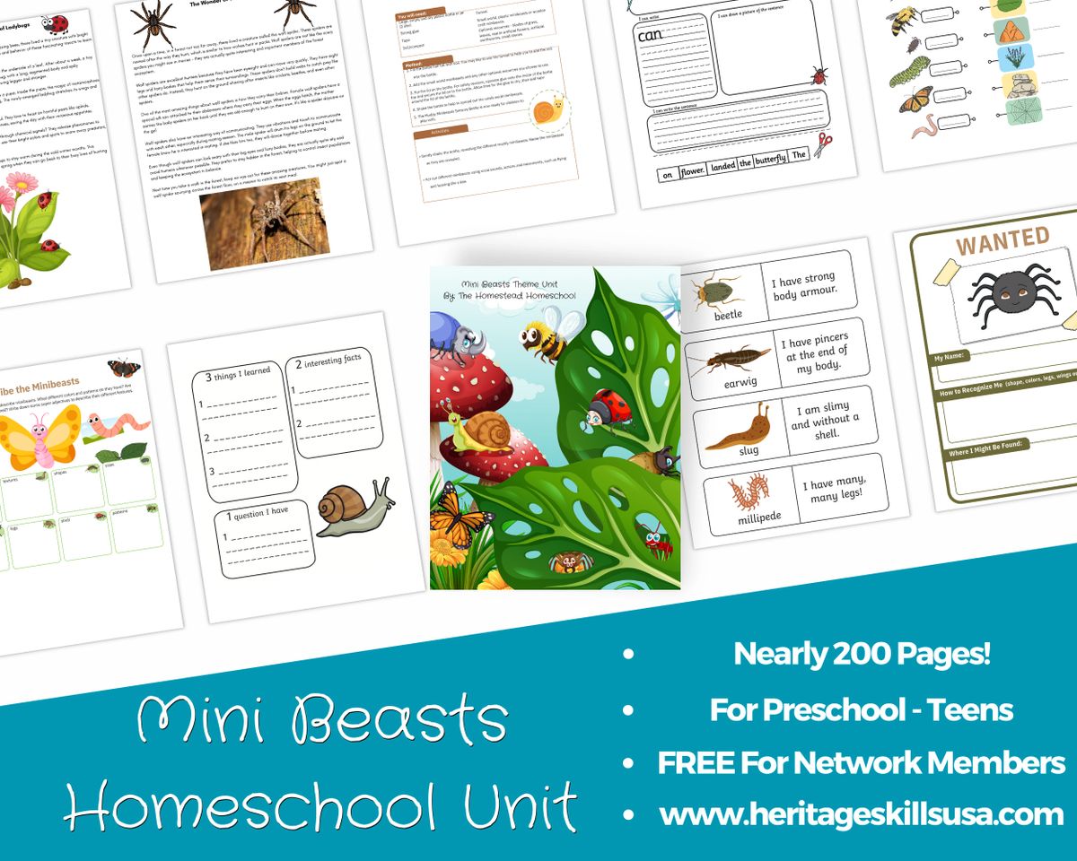 The Wonderful World Of Mini Beasts - FREE For Network Members