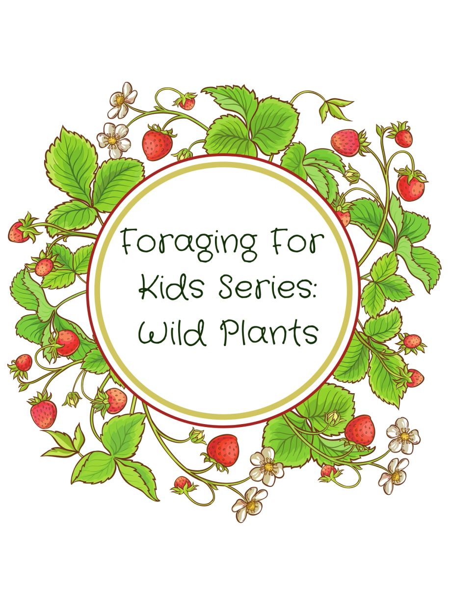 Foraging For Kids Series: Wild Plants 79 Pages Of Learning Activities!