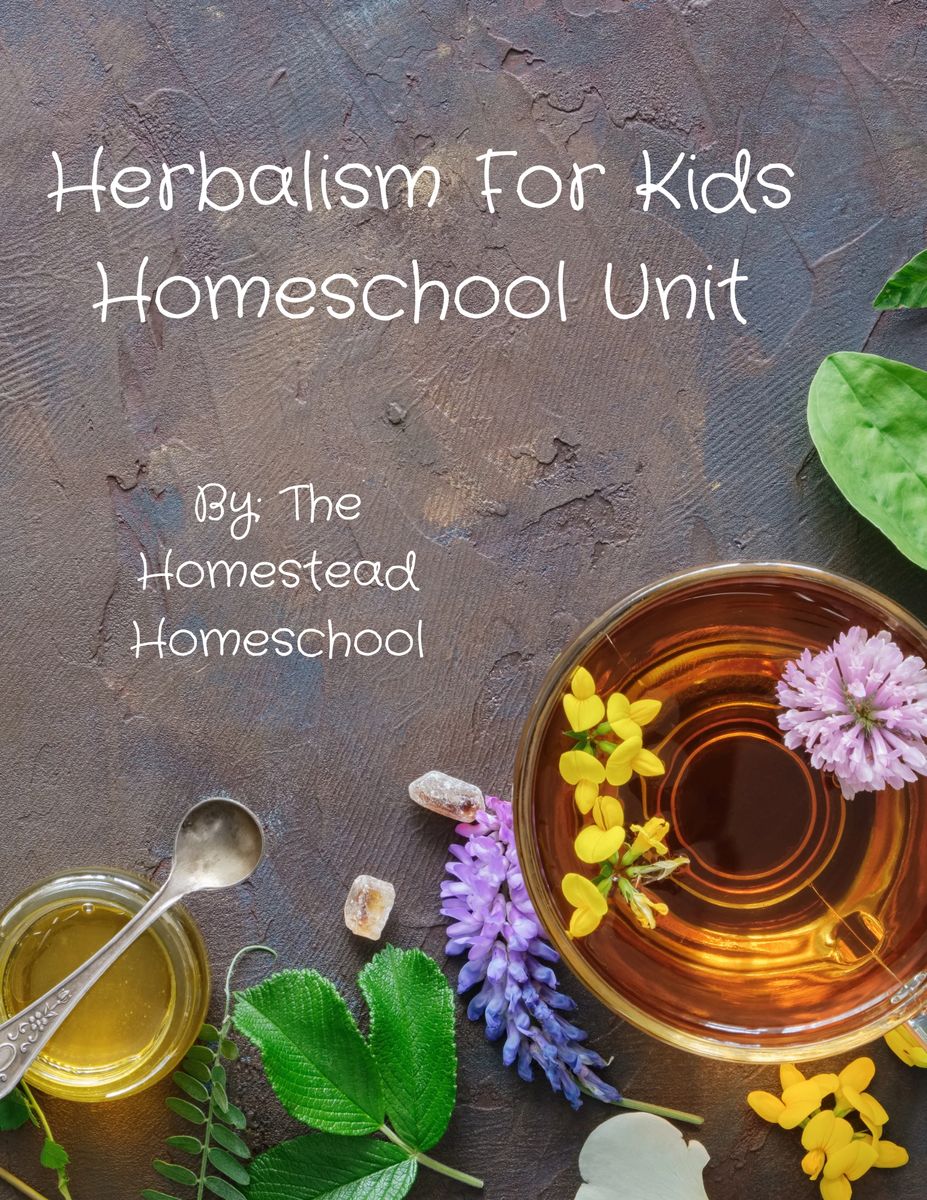 Herbalism For Kids Homeschool Unit - 250 Pages For K-Teens - FREE For ...