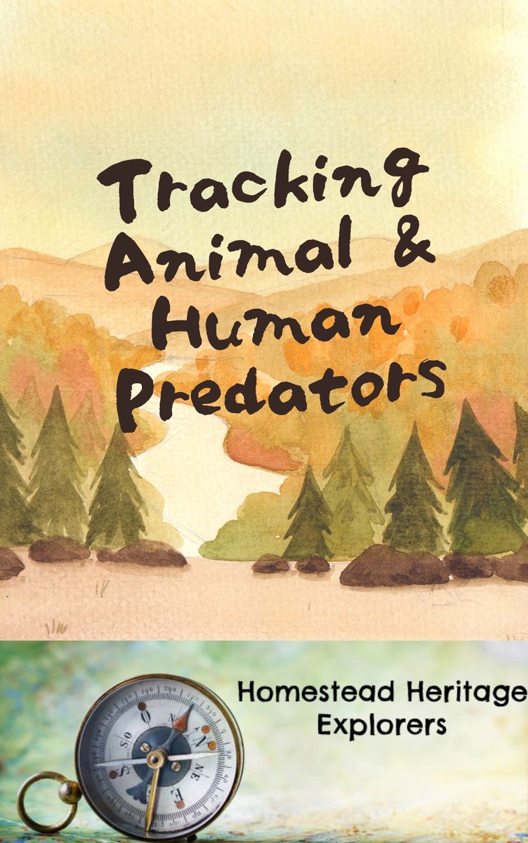 Animal And Human Predator Tracking Homeschool Unit - FREE For Network ...