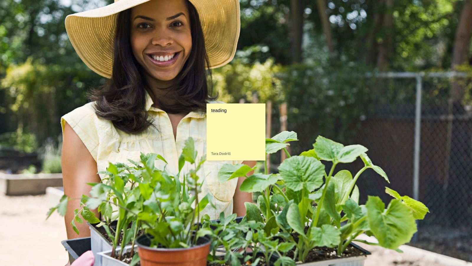 Suburban Homesteading 101: A Beginner's Guide