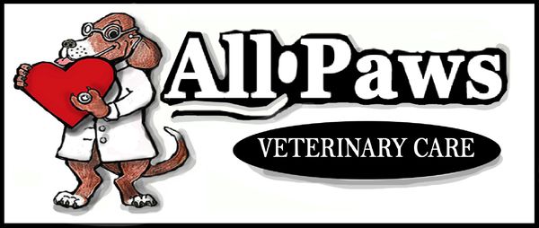 Holistic Veterinarian - All Paws/Avatar