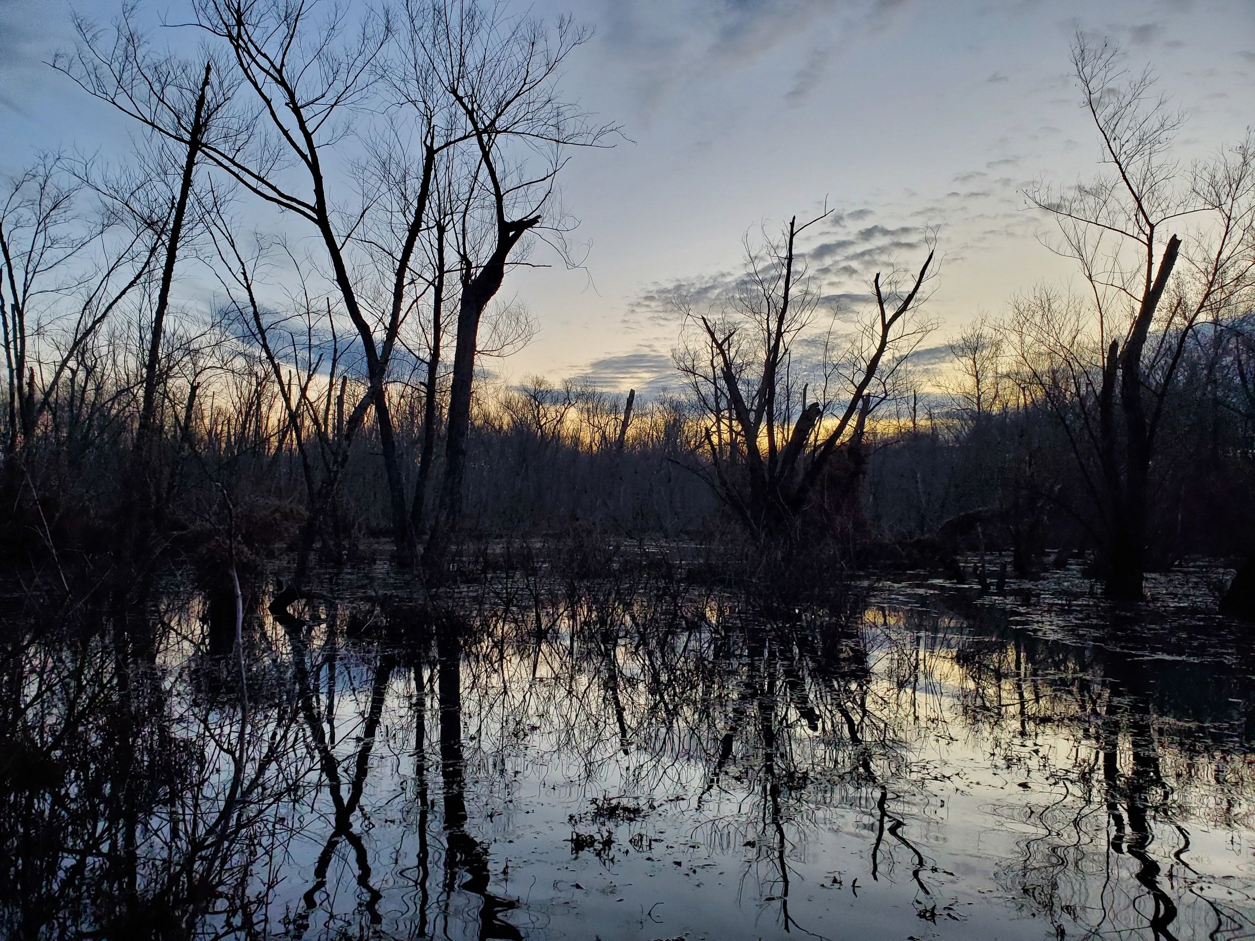 Reference | SWITCHGRASS CONSULTING, INC.