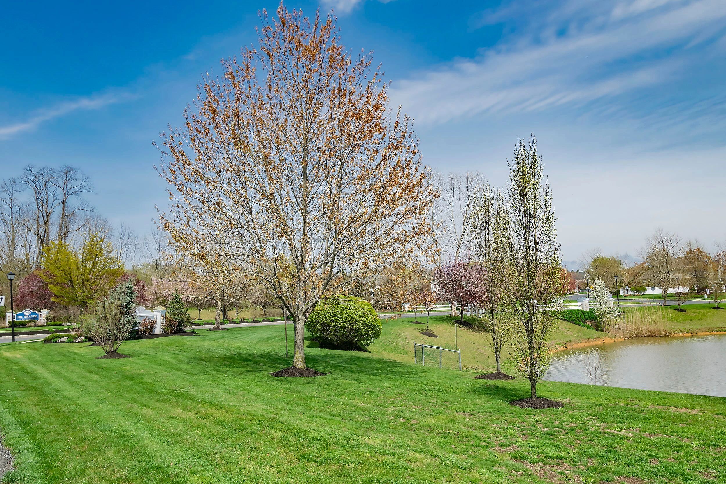 Commercial Landscape Maintenance - Good Mowin