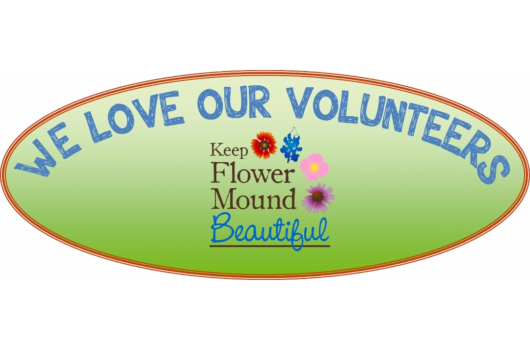 COMMUNITY SERVICE PROGRAM