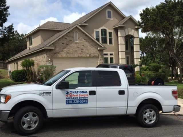 National Pest Control - Pest Control, Termite