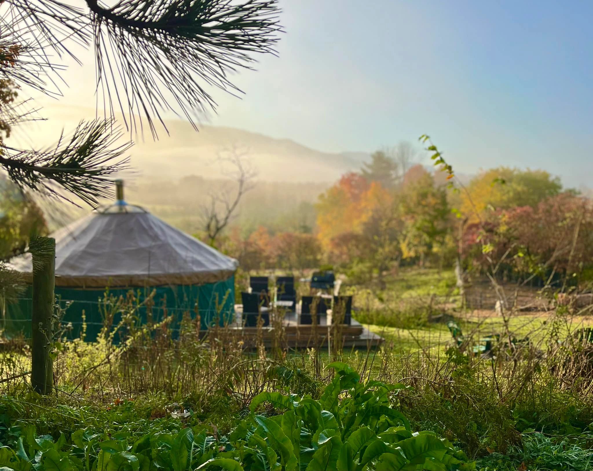 Kinder Way Farm Sanctuary