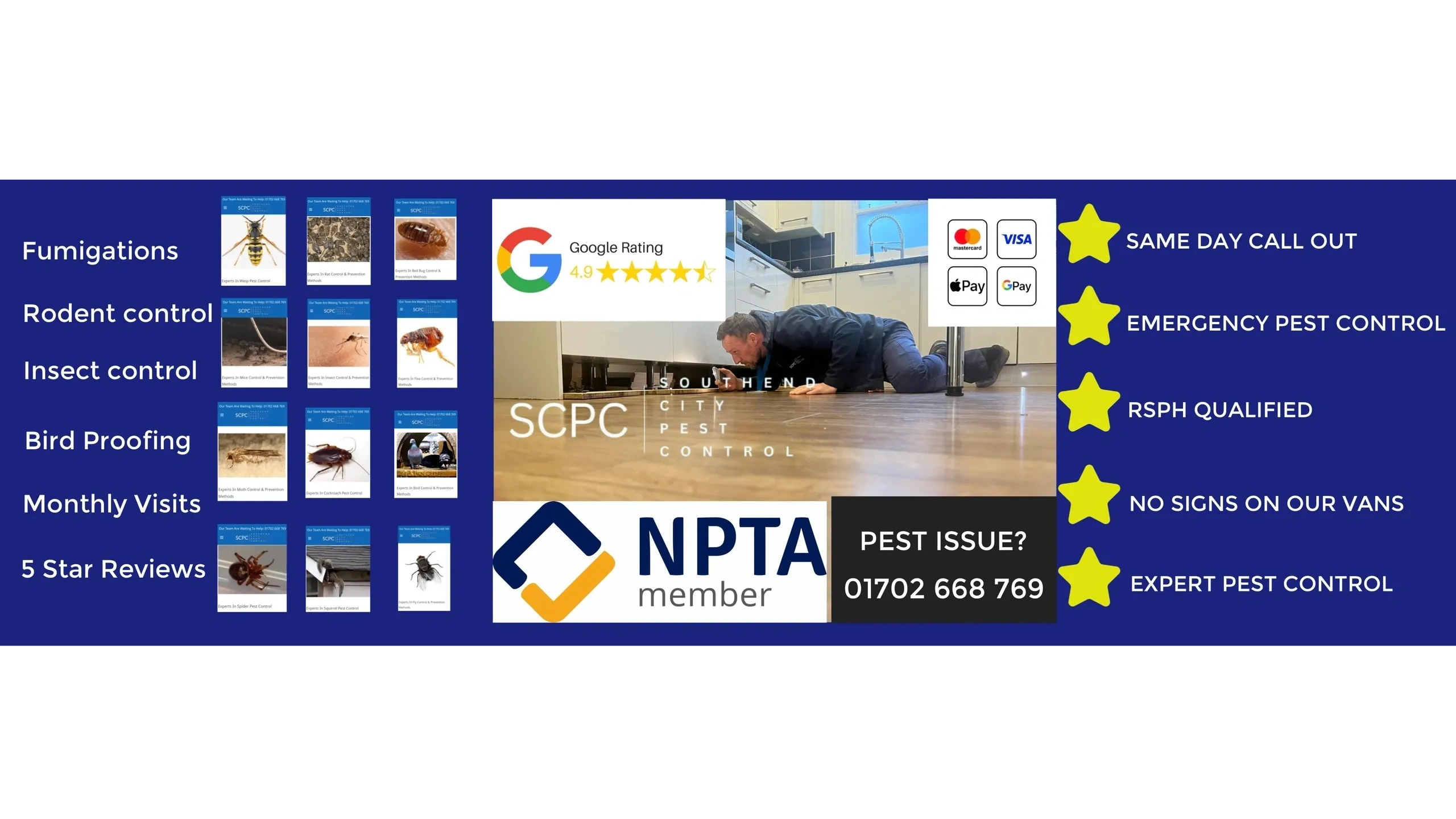 Pest Control Services - Southend City Pest Control