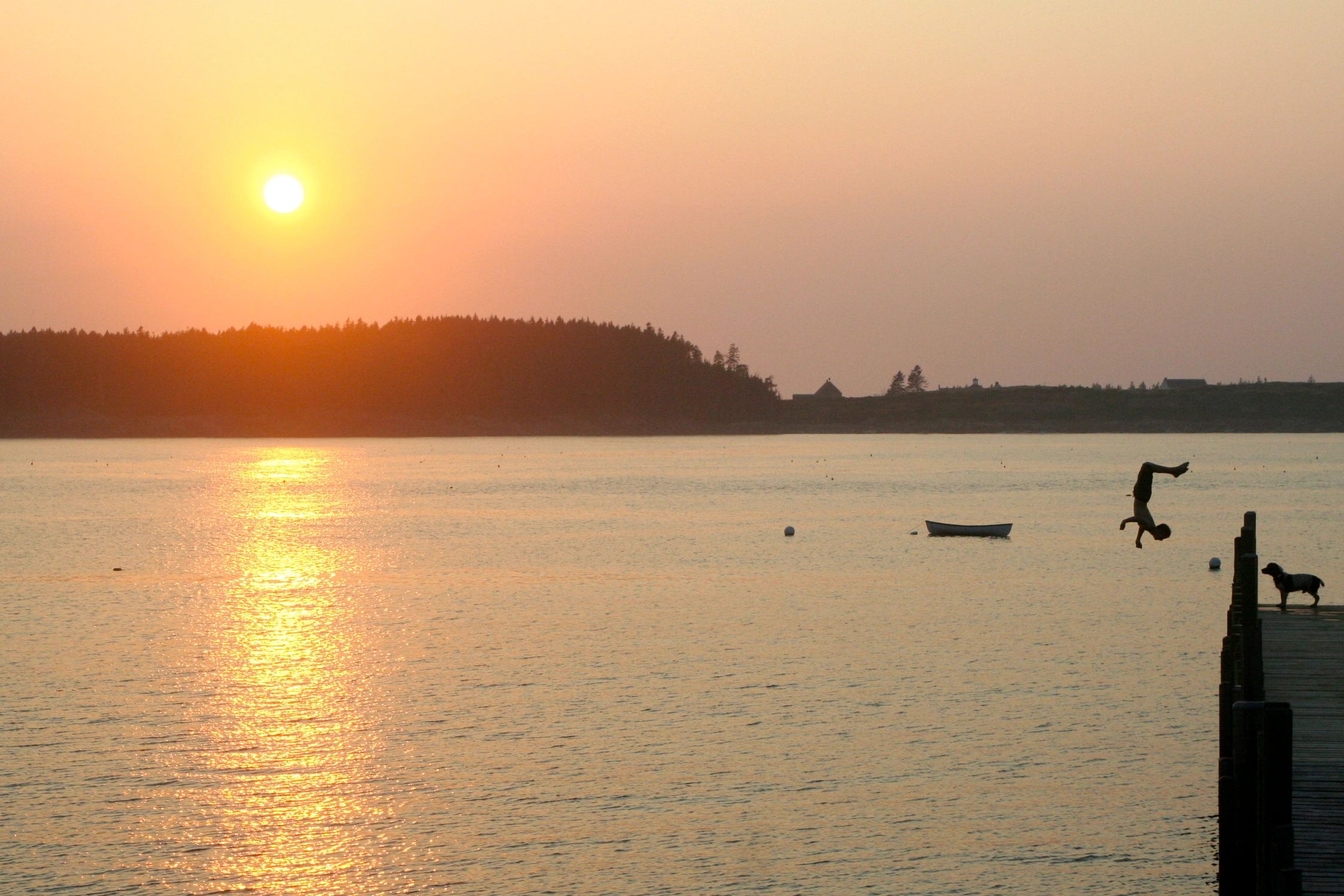 Conservation Outcomes