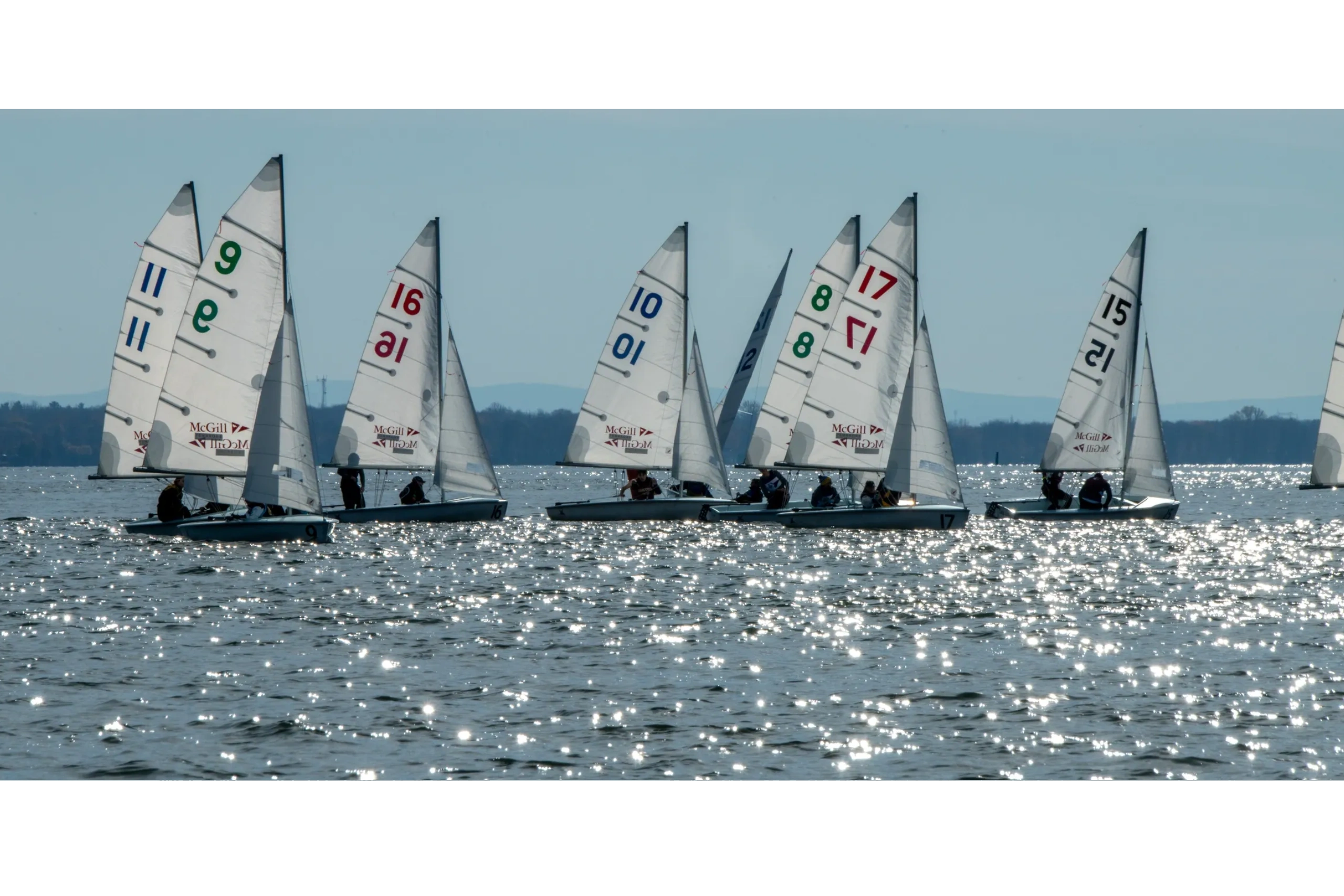 Canadian Intercollegiate Sailing Association