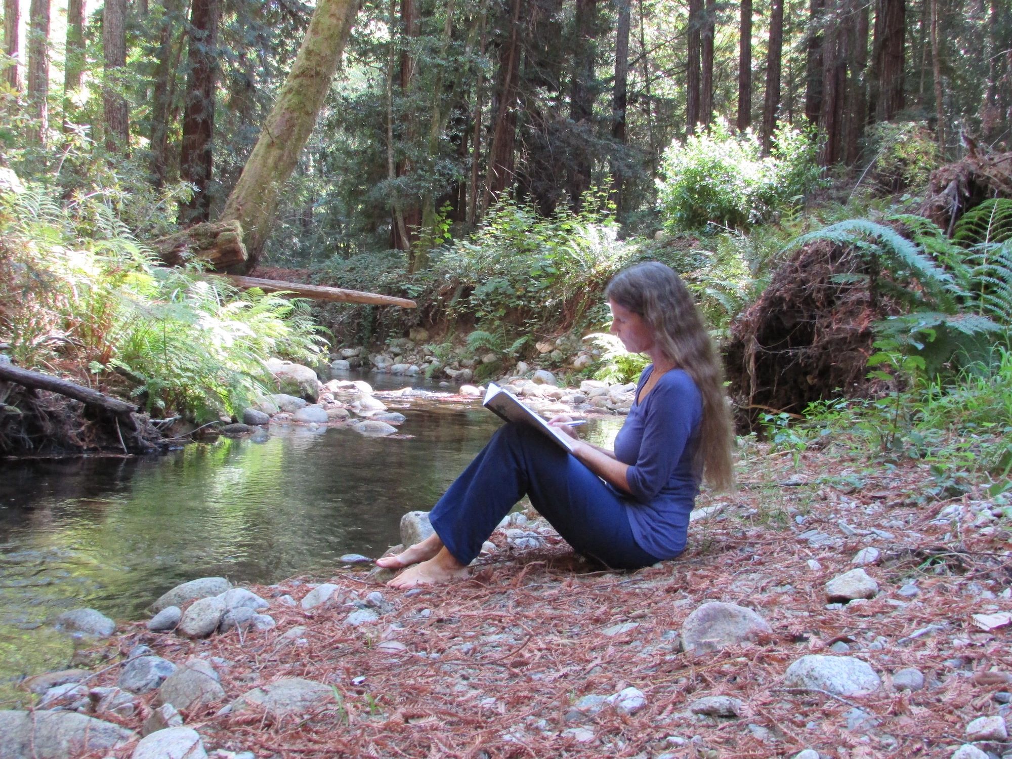 FREE - "WRITING WORKSHOP" with POET KAI SIEDENBURG - via Zoom