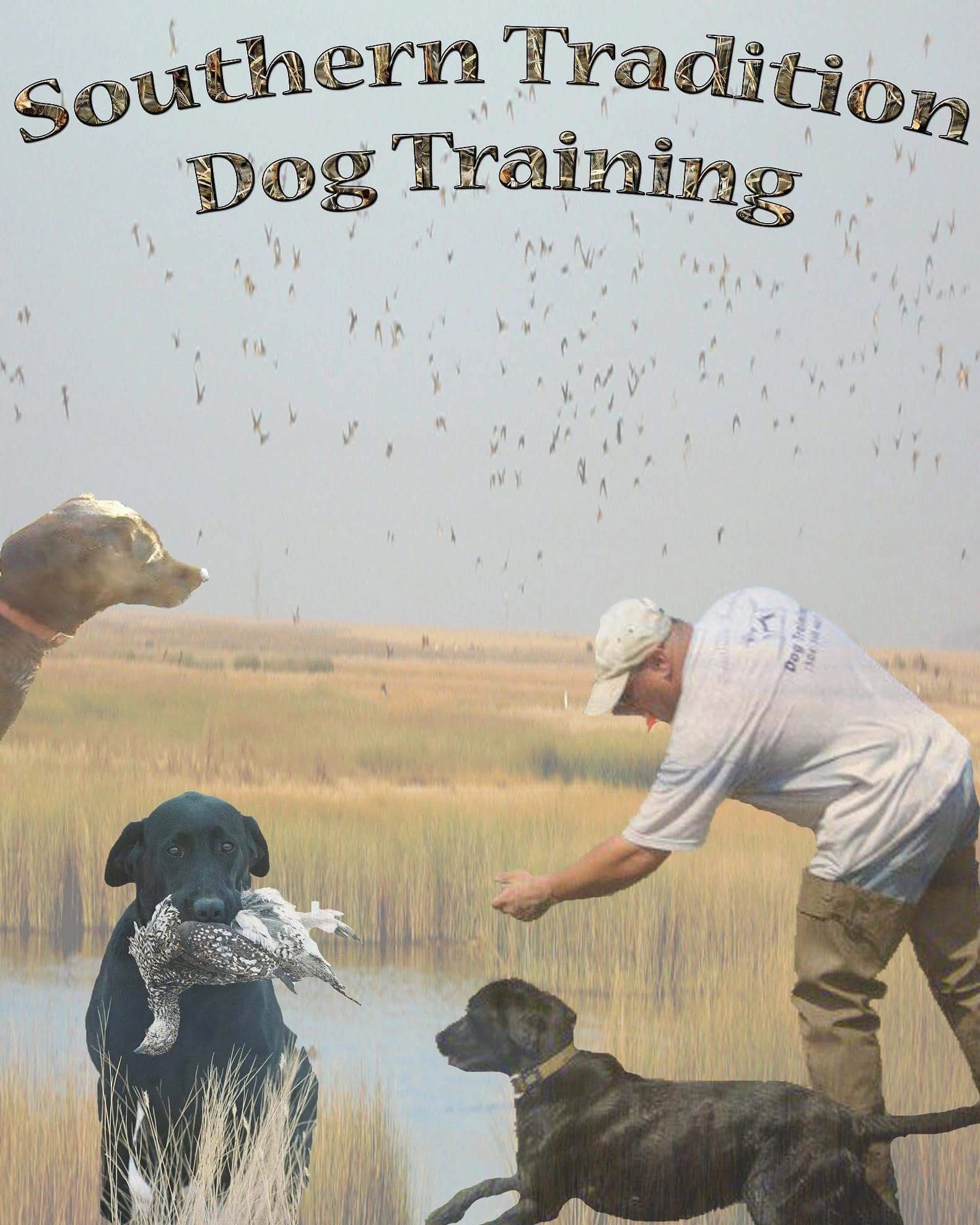 Southern Tradition Dog Training - Home