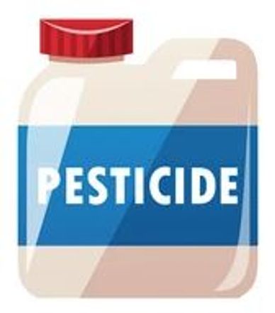 Waste Disposal & Roll-Off/Dumpster Rental