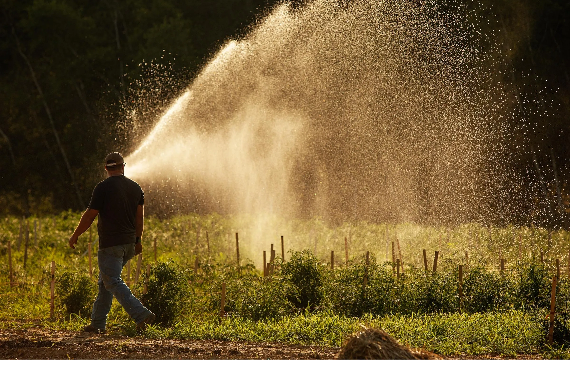 Pocono Organics