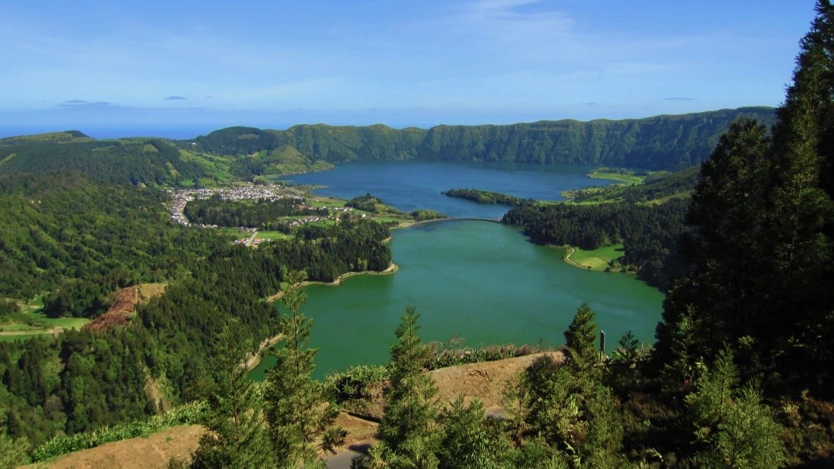 Aligned Wellness Retreats