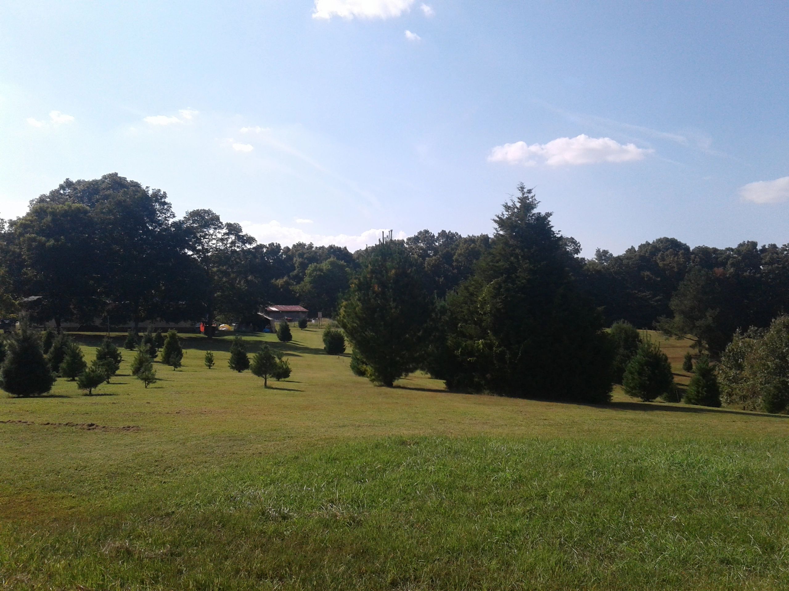 Santasplacetreefarm - Christmas Tree Farm, Christmas Trees, Wreaths