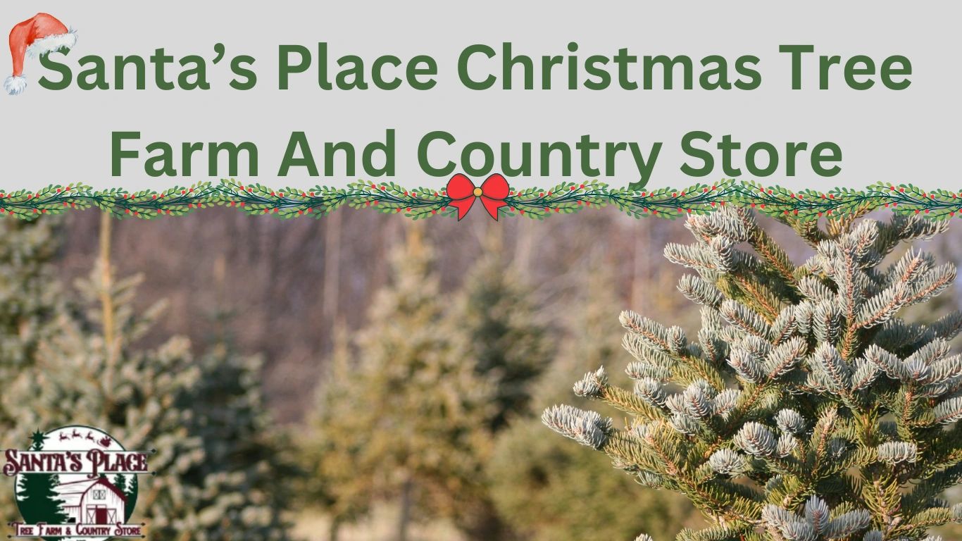 Santasplacetreefarm - Christmas Tree Farm, Christmas Trees, Wreaths