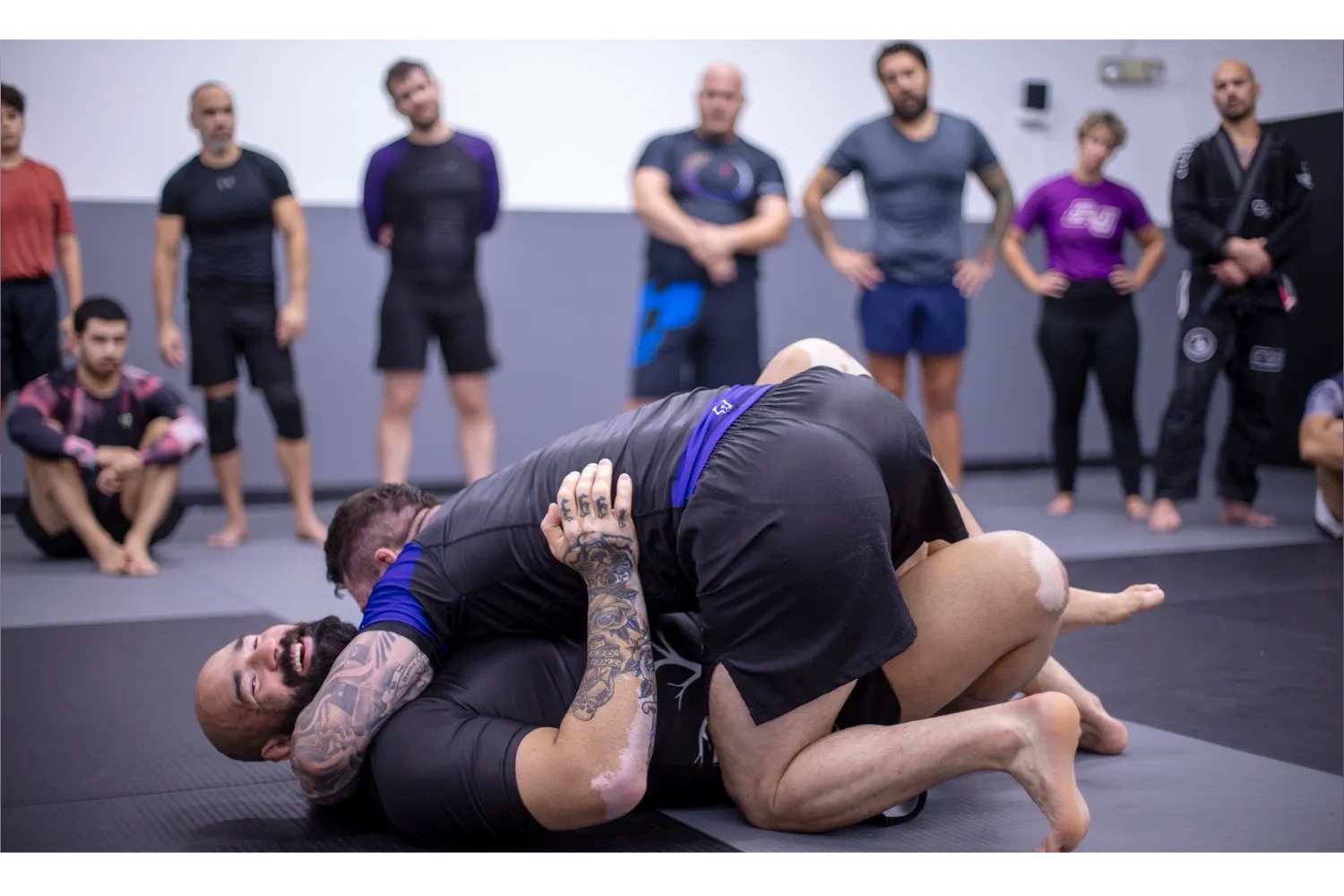 Brazilian Jiu Jitsu - Culture