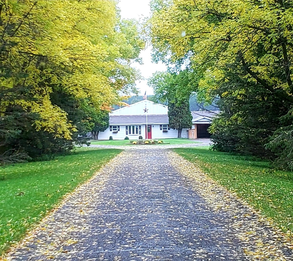 SAW HORSE FARM