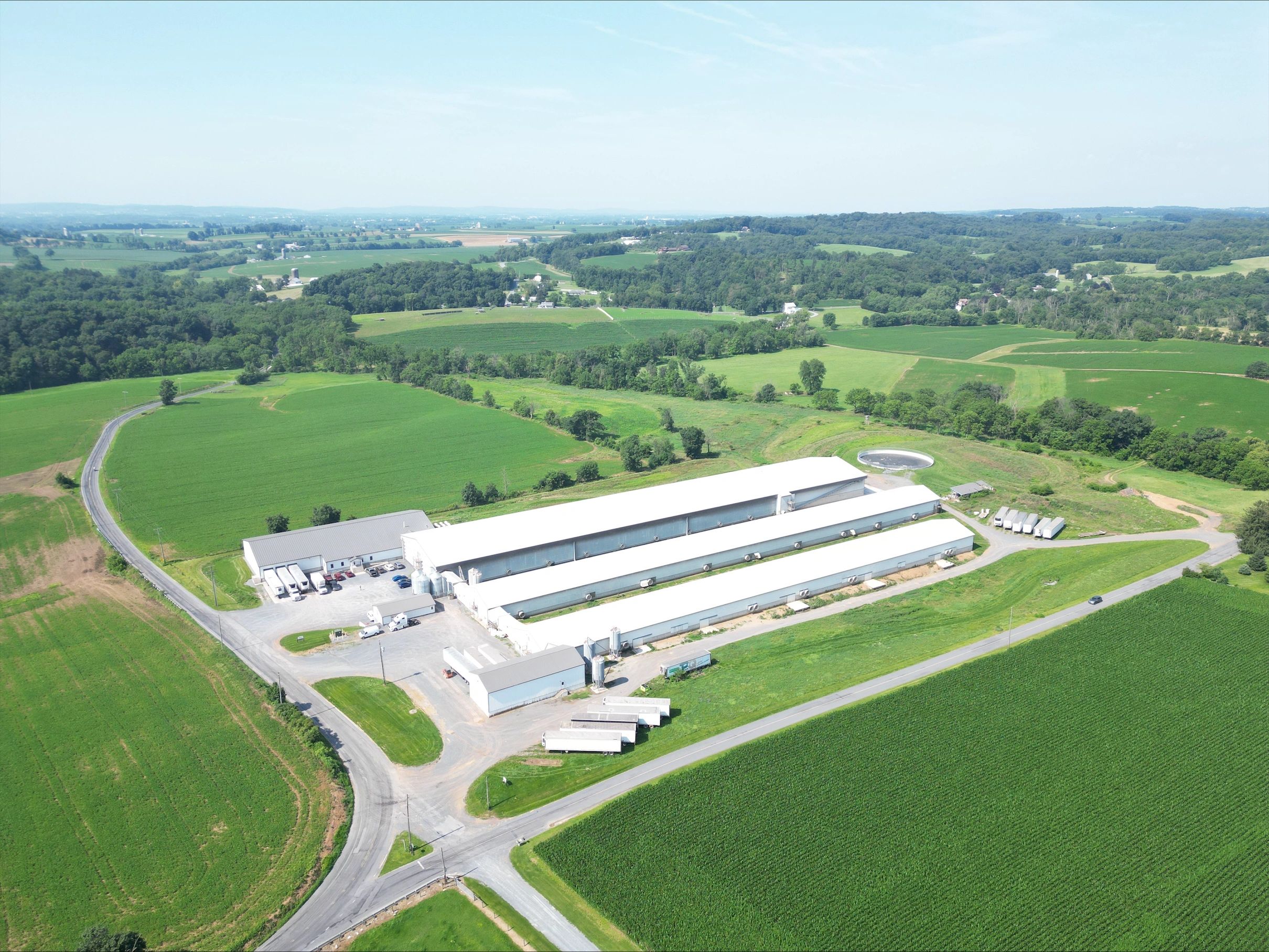 King Farms - Eggs for Sale, Farm Fresh Eggs