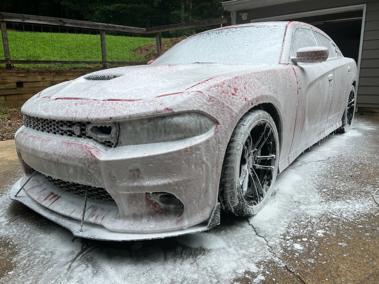 Professional Vehicle Mold Remediation Services