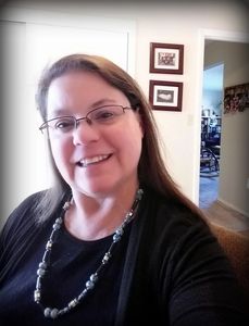 Rodda Consulting - Non Profit, Experience, Nonprofit Organizations