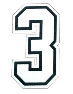 3 Inch Umpire Numbers - White/Black/White
