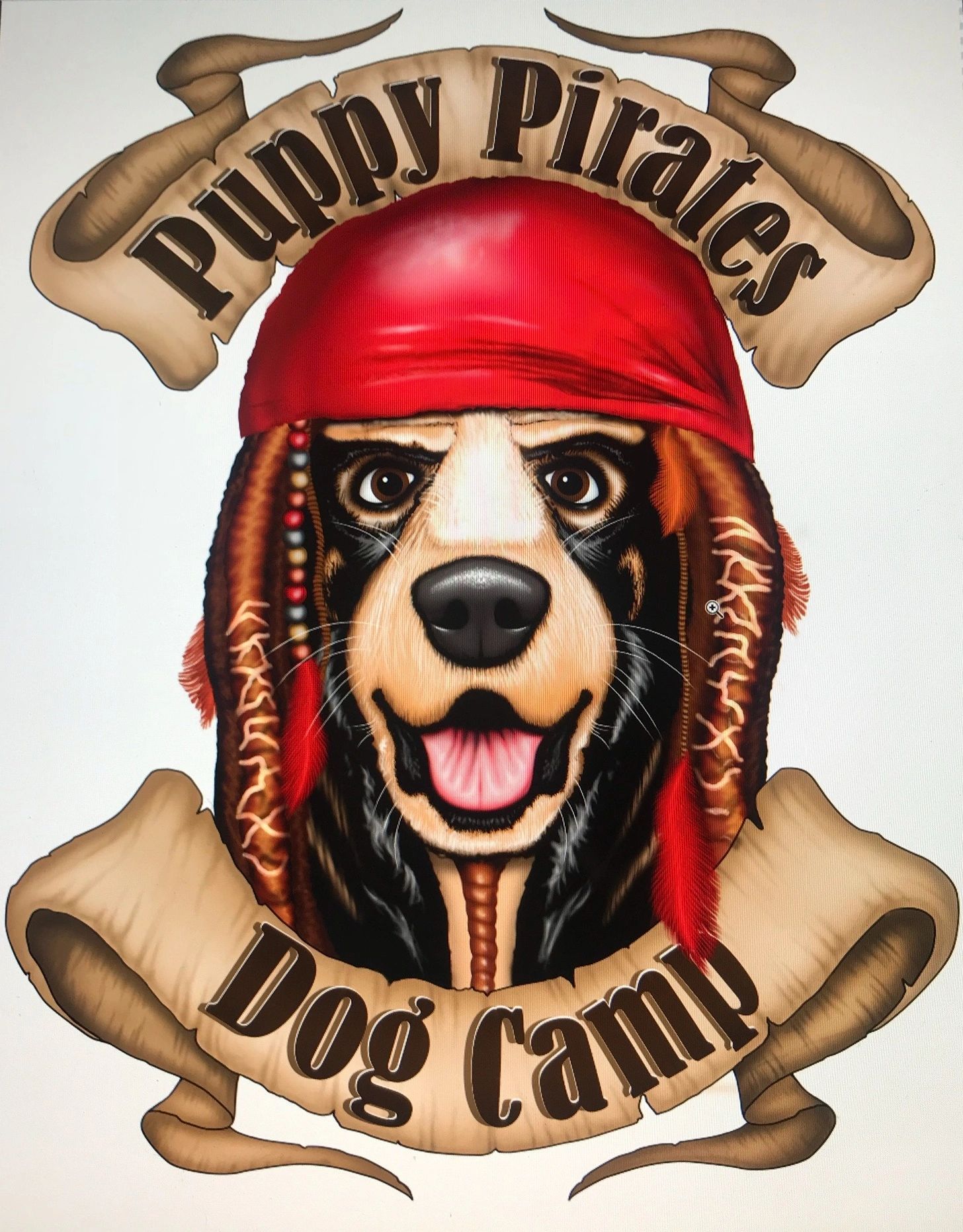 Puppy Pirates Dog Camp - Dog Daycare, Dog Boarding