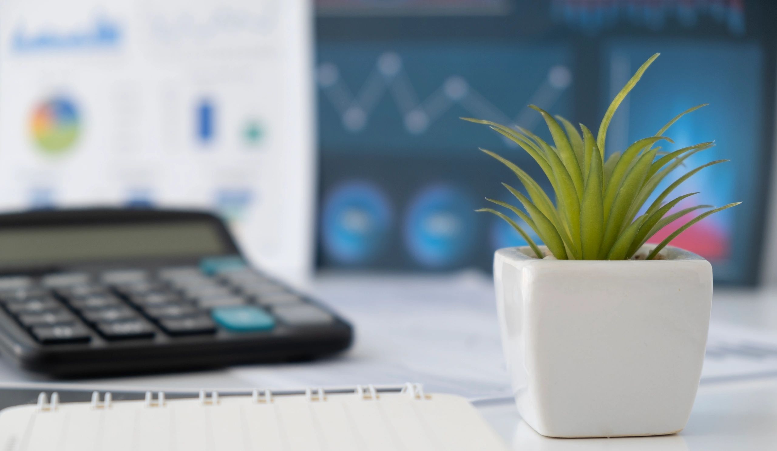 Ocean Accounts - bookkeeping and accounting services