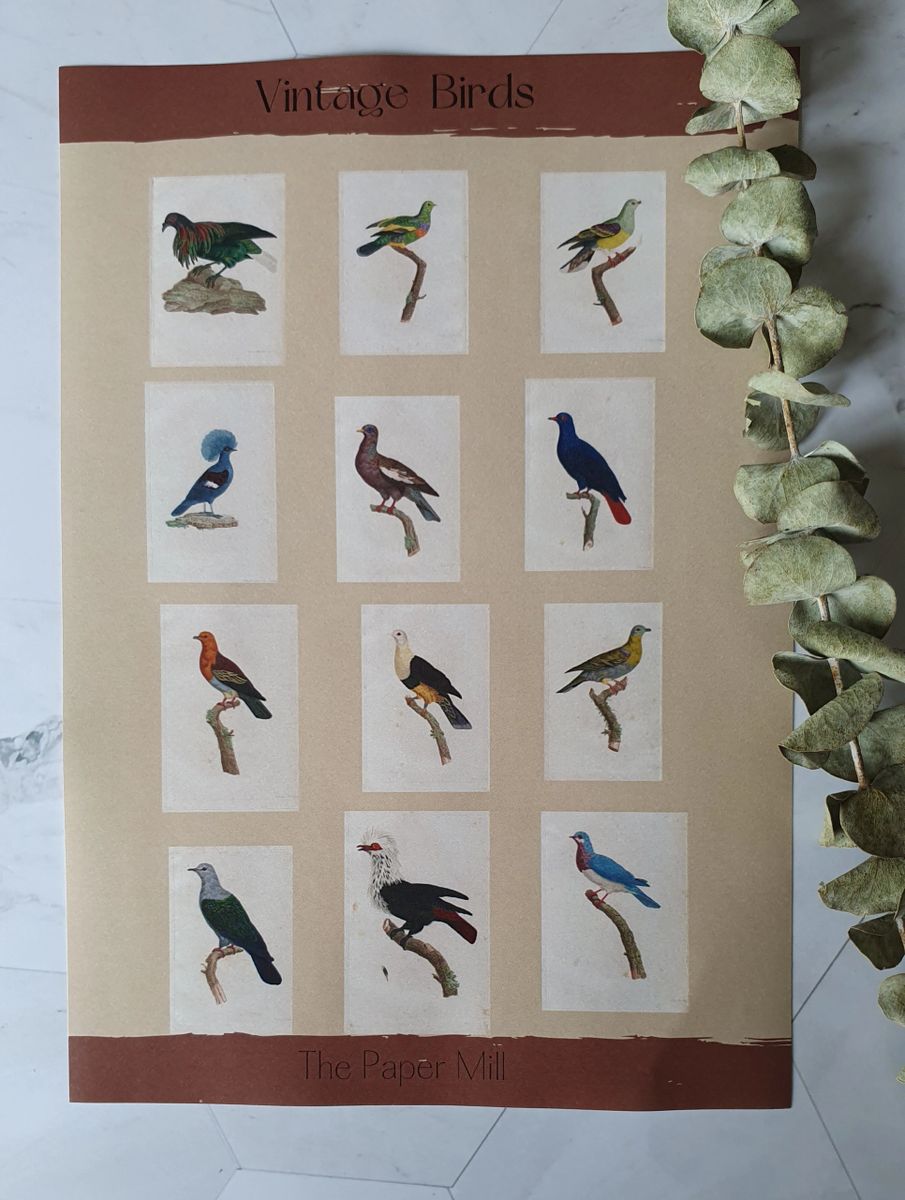 Vintage bird stickers