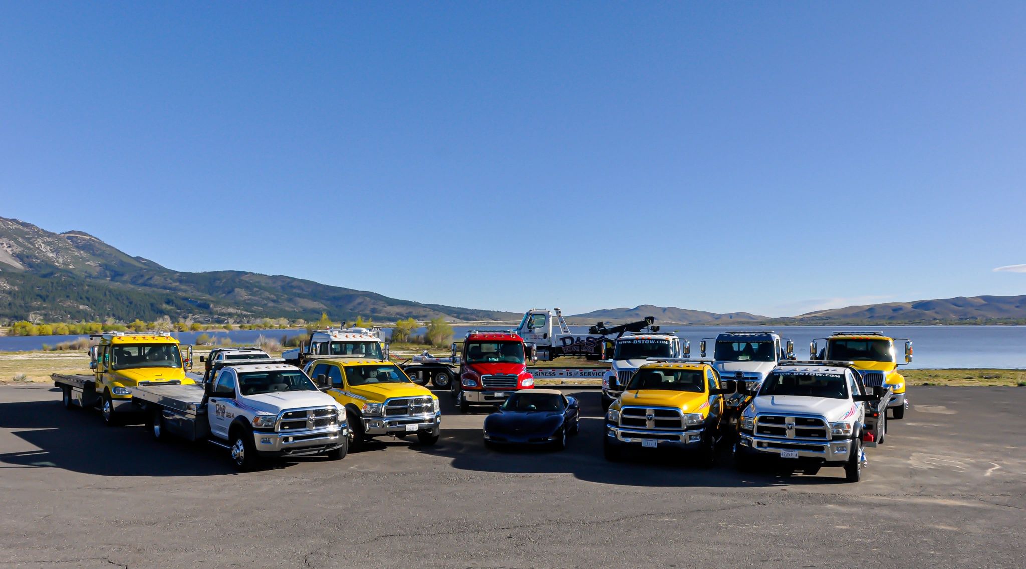 HOME PAGE [dstow.com]